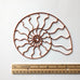 Ammonite Resin Art Template – pourawayfluidarts