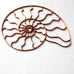 Ammonite Resin Art Template – pourawayfluidarts